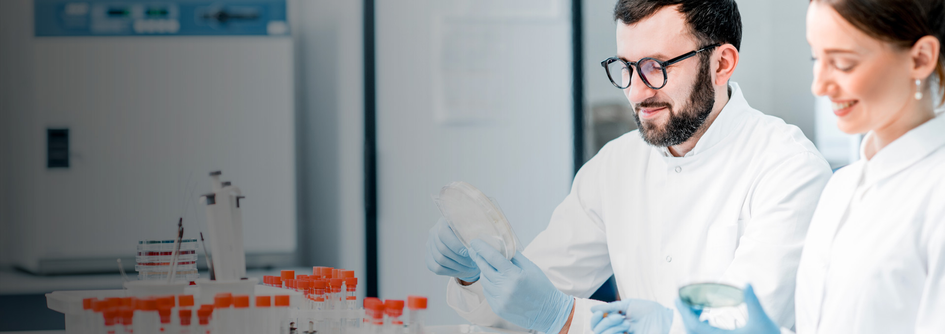 Indatech | Our know-how