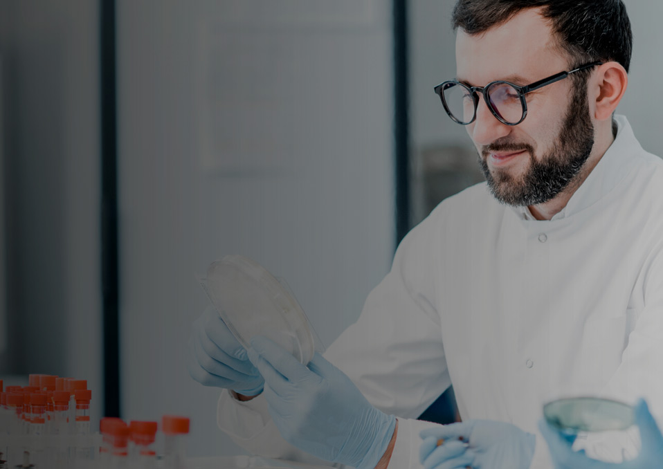 Indatech | Our know-how